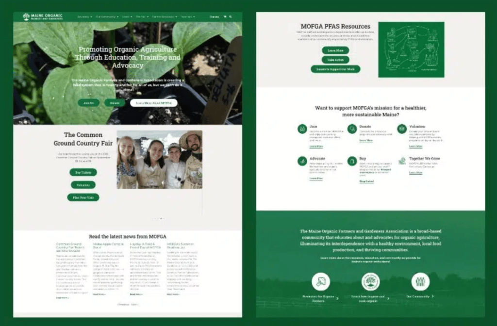 Business Case Guide For Building A New Website